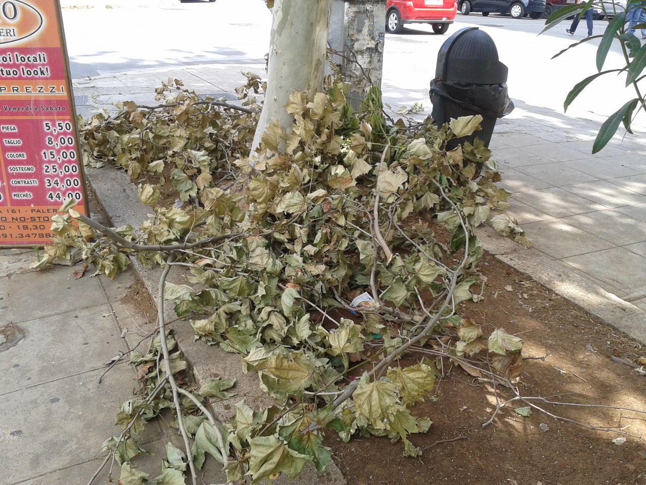 Rap, sospesa la rimozione | delle ramaglie su strada