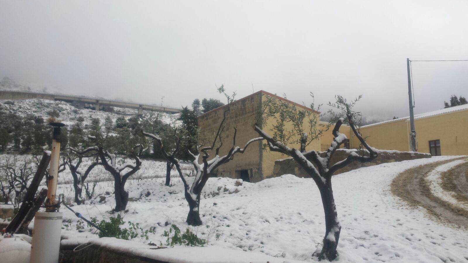 Da Erice a Valledolmo, la Sicilia sotto la neve FOTO - Live Sicilia