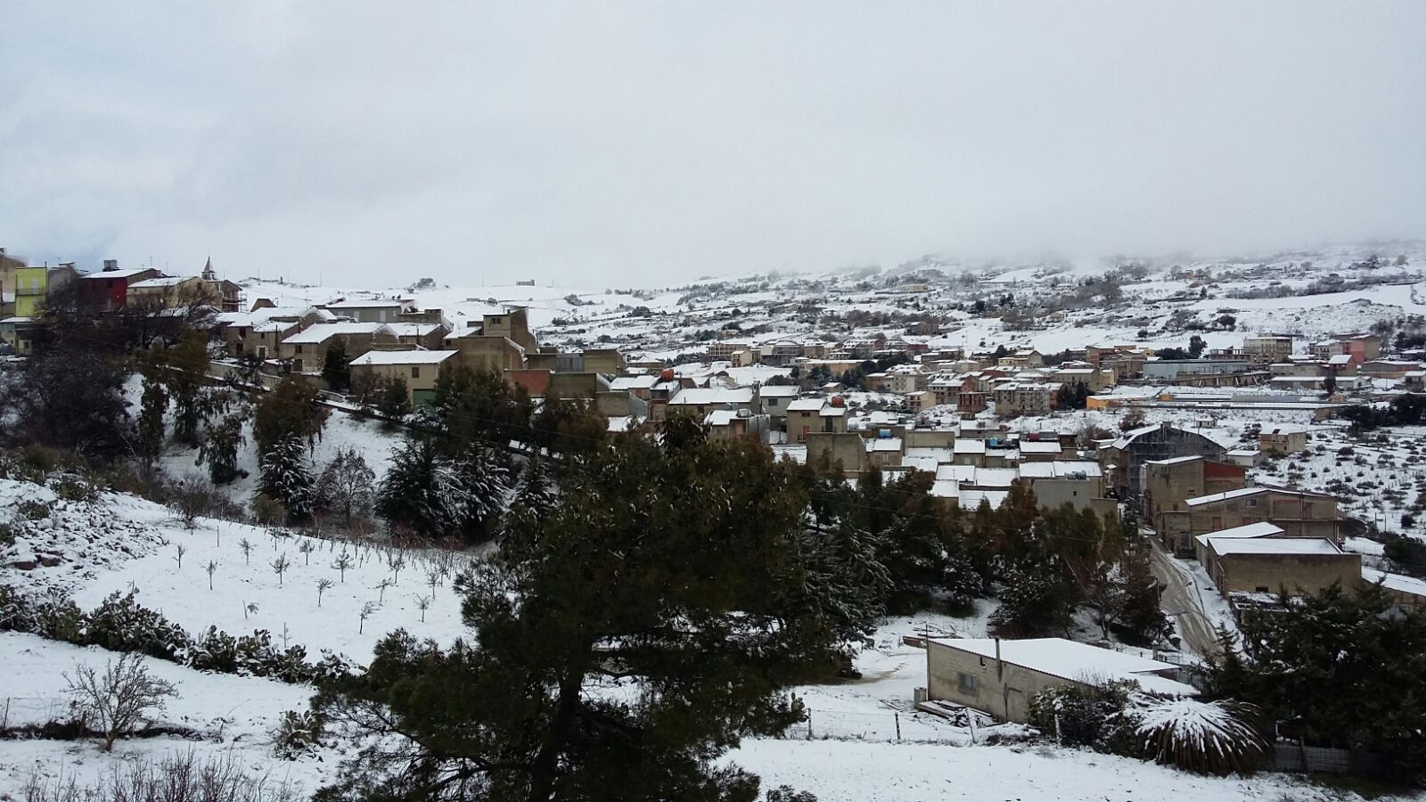 Da Erice a Valledolmo, la Sicilia sotto la neve FOTO - Live Sicilia
