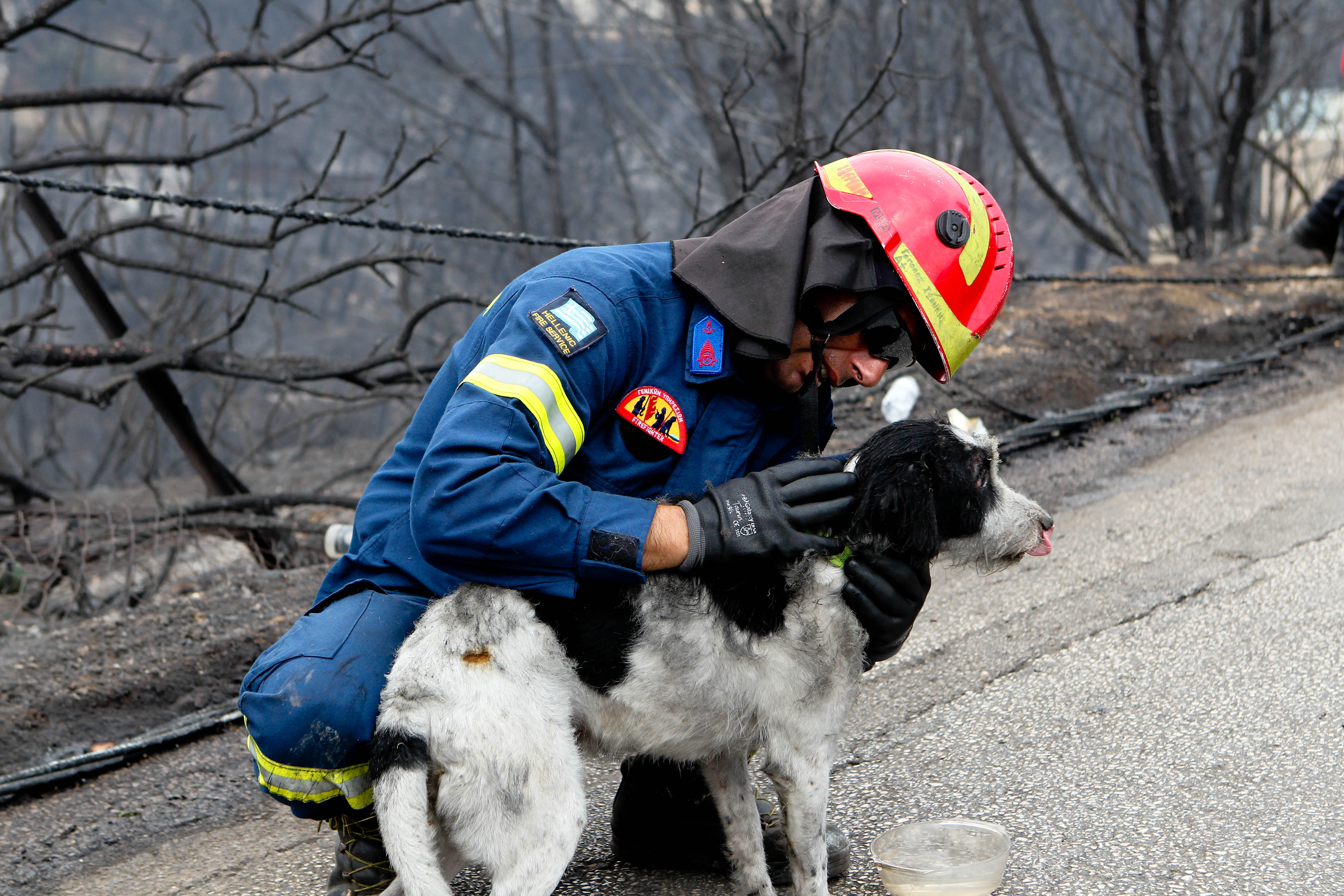 I greci di Palermo e il rogo: | "Con il cuore siamo lì"