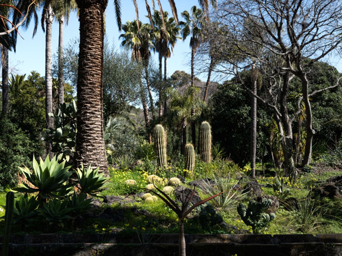 Catania, il Parco Paternò del Toscano riapre al pubblico